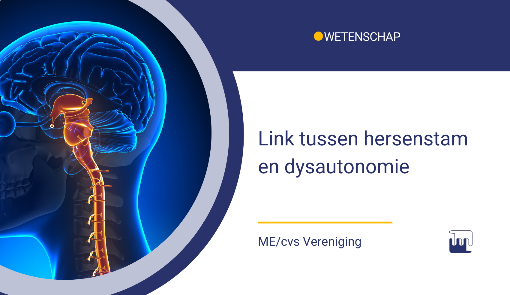Link tussen hersenstam en dysautonomie | ME/cvs Vereniging